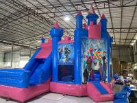 China 5x4m Inflatable Combo Bouncer Commercial Dry Slide Combo Bouncy Frozen Jumping Castle for sale