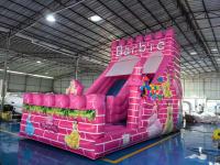 China 7x4x6M  Commercial Colorful Theme Inflatable Slides Outdoor Inflatable Playground Water Slide for sale