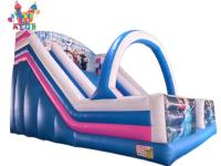 China Family Backyard Adult Inflatable Water Slide Kids Inflatable Slide For Sale for sale