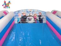 China Family Backyard Adult Inflatable Water Slide Kids Inflatable Slide For Sale for sale