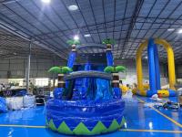 China Inflatable Waterslide For Sale Kids Inflatable Water Slide For Rental Business for sale