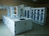 China Physical Chemistry Lab Furniture , PP Material Chemical Resistant Lab Tables for sale