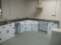 China 8mm Worktop Chemistry Lab Furniture , PP Material Island Table For Laboratory for sale