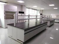 China Adjustable Foot Biology Lab Furniture 16mm MFC Board Steel - Wood Casework for sale