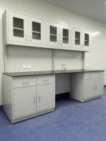 China College Steel Chemistry Lab Furniture / Laboratory Workbench With Reagent Shelves for sale