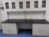 China Professional Design 25.4 mm Phenolic Resin Board Steel Workbench Fume Cupboard Chemistry Lab Furniture Equipments for sale