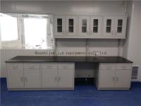 China Professional Design 25.4 mm Phenolic Resin Board Steel Workbench Fume Cupboard Chemistry Lab Furniture Equipments for sale