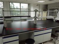 China Resistant TO Strongest Corrosion / Acid / Alkali Chemistry Laboratory Casework Furniture for Research Laboratory for sale