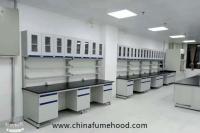 China Customized Wall Chemistry Lab Furniture With Reagent Shelf Resistance Acid for sale