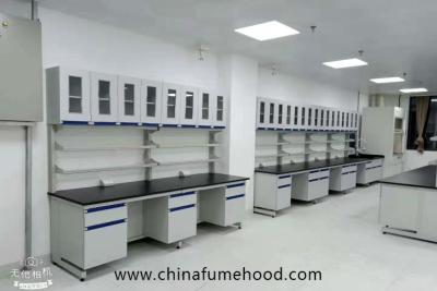 China Customized Wall Chemistry Lab Furniture With Reagent Shelf Resistance Acid for sale