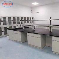 China Practical Chemistry Lab Furniture Multi Function Alkali Resistant for sale