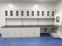 China Workbench Furniture Manufacturer / Chemical Laboratory Bench / Biology Laboratory Tables for sale
