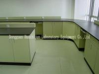 China Chemical Lab Cabinet Manufacturer / Lab Wall Work Counter China / Laboratory Counters Price for sale