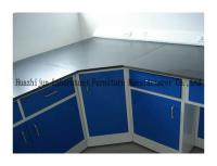 China Hight Adjustable Steel Lab Furniture , Laboratory Wall Bench With Reagent Shelf for sale