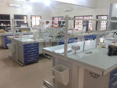 China Laboratory Casework With Reagent Shelf Laboratory Furniture China Manufacturer for sale