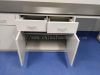 China Acid Proof Lab Cabinets And Countertops , Multifunctional Lab Bench With Drawers for sale