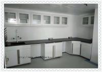 China Resistance To Chemical Steel Lab Furniture Science Lab Cabinets For Hospital for sale