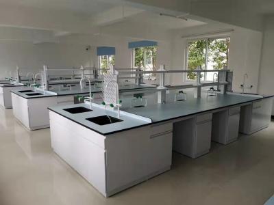 China Best Price Alkali Resistant Standard Size Chemistry Lab Furnitures  Lab Work Benches With Shelves for sale
