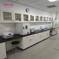 China Best Price Stronest Chemical Resistant Laboratory Bench Manufacturers For Chemistry Laboratory for sale