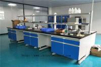China Phenolic Resin Wood Chemistry Lab Workbench Multifunctional Waterproof for sale