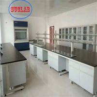 China OEM customized Full Steel Structure Acid Alkali Resistance Chemical Laboratory Workstation Price for sale