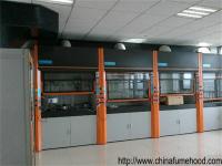 China Wholesales Customization Fuming Hood With The Pipe of Fume Cabinet For Oversea Sellers for sale
