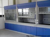 China Lab Draught Cupboard With Ventilation System For Laboratory Equipment for sale