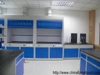 China Chemical Steel Fume Hood , Anti Corrosion PP Blower Laboratory Ventilation Hoods for sale