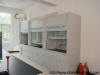 China Metal Fume Hood With Black Lab Bench Board For Chemical Lab for sale