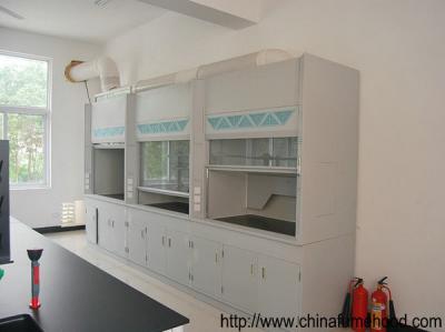 China Commercial Exhaust Laboratory Fume Hood Multifunctional Rustproof for sale