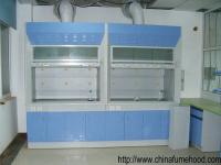 China Commercial Exhaust Laboratory Fume Hood Multifunctional Rustproof for sale