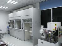 China Multifunctional Chemical Vent Hood For Hospital And School Laboratory for sale