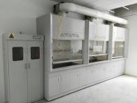 China Multifunctional Chemical Vent Hood For Hospital And School Laboratory for sale