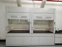 China Cold Rolled Steel Fume Hood For Scientists / Laboratory Vent Hood for sale
