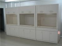 China Polypropylene Fume Hood Adjustable Window Height With Full Cover Type Lighting for sale