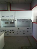 China Laboratory Bench Fume Hood With PP Material For Oversea Suppliers for sale