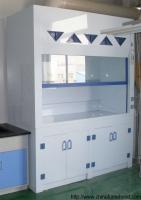 China Practical Chemical Fume Hood Multipurpose For Furniture Distributor for sale