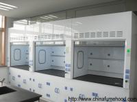 China Durable Multiscene Perchloric Acid Hood , Waterproof Biosafety Cabinet Fume Hood for sale