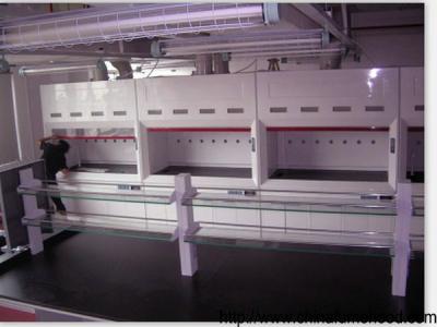 China FRP Products Fume Hood in Laboratory Furniture From China Lab Factory for sale