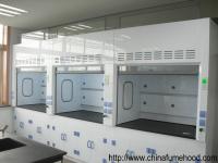 China High Standard FRP Lab Fume Hood in Laboratory Furniture From China Lab Factory for sale