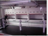 China China Ventilation Hood Laboratory Equipment For Metal Factory Laboratory for sale
