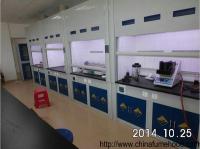 China Fiber Reinforced Laboratory Fume Cupboard Practical Multipurpose for sale