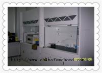 China Durable Chemistry Laboratory Fume Cupboard Multipurpose Floor Mounted for sale