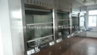 China ISO14001 Stainless Ducted Fume Hood Wall Mounted Multi Function for sale