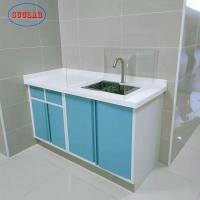 China Antirust Fireproof Laboratory Wall Cabinets , Acid Resistant Lab Bench Furniture for sale