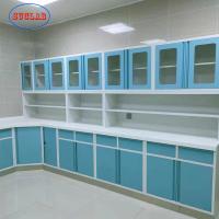 China Antirust Fireproof Laboratory Wall Cabinets , Acid Resistant Lab Bench Furniture for sale