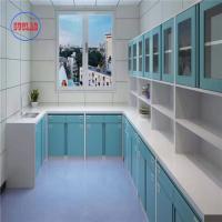 China Cold Rolled Steel Hospital Laboratory Furniture Cabinets Anti Corrosion Wall Mounted for sale