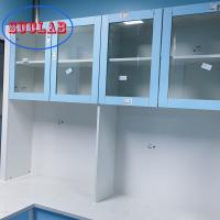 China Acid Proof Hospital Lab Furniture Wall Cabinet Waterproof Practical for sale