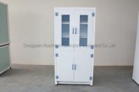 China Dual Doors Corrosive Storage Cabinet Made In China For Laboratory Medicine Cabinet for sale