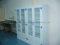 China Dual Doors Corrosive Storage Cabinet Made In China For Laboratory Medicine Cabinet for sale
